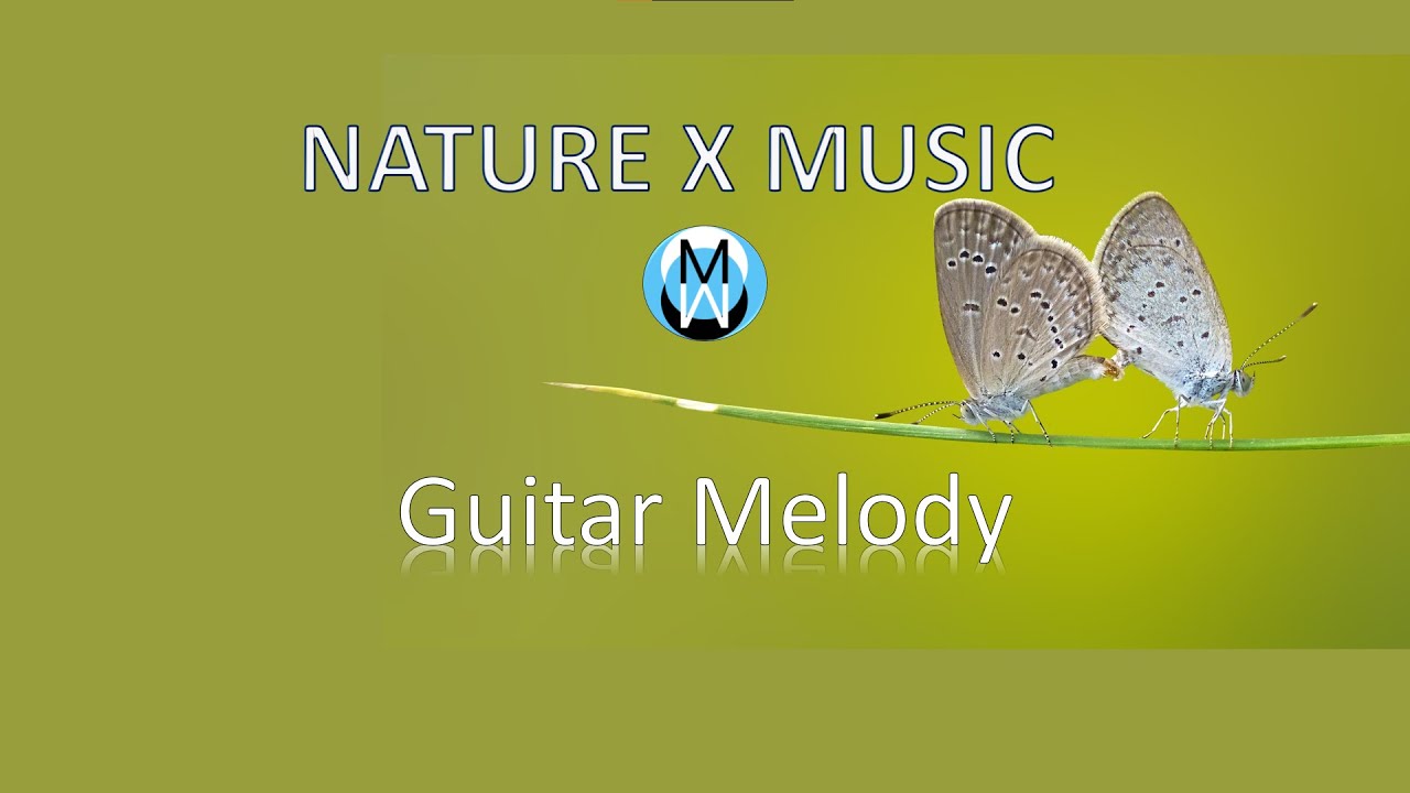 Nature X Music | Guitar Melody | Relaxing and Soothing with funny ...