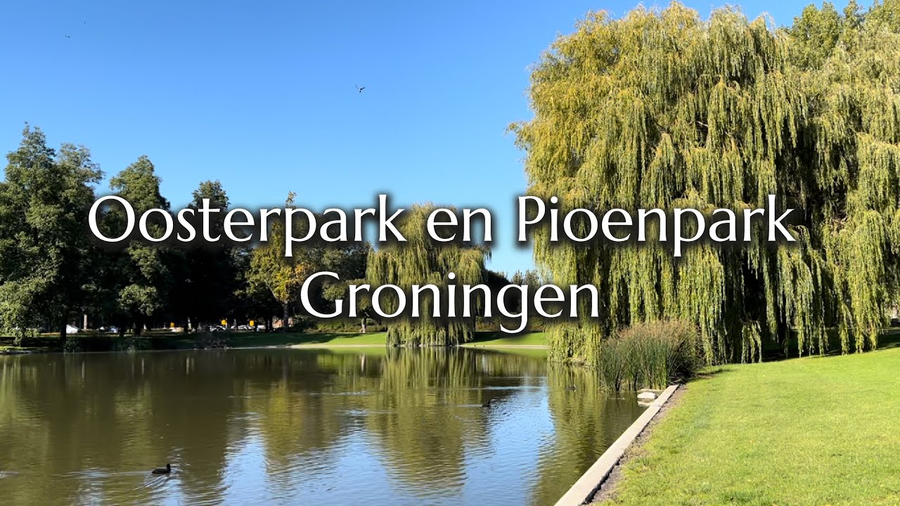 Most beautiful park in Groningen!? Park walk - AUTUMN COLOURS - Nature Sounds #pioenpark # ...