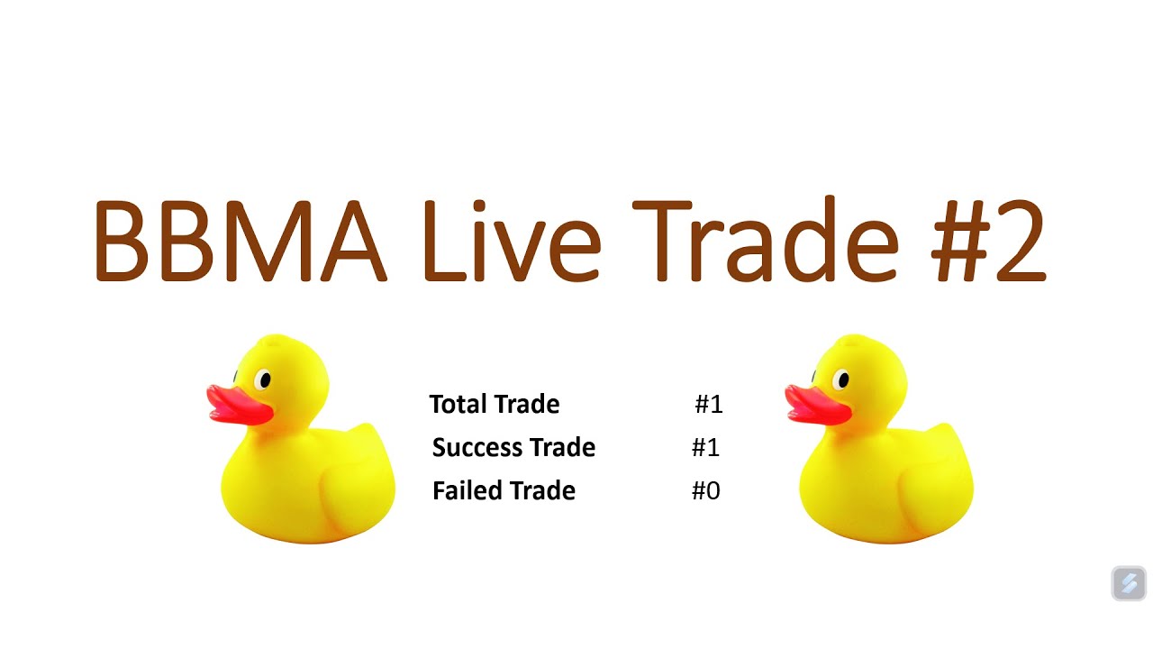 Forex live trade #2 11 Feb 2024 - Trade Open - YouTube