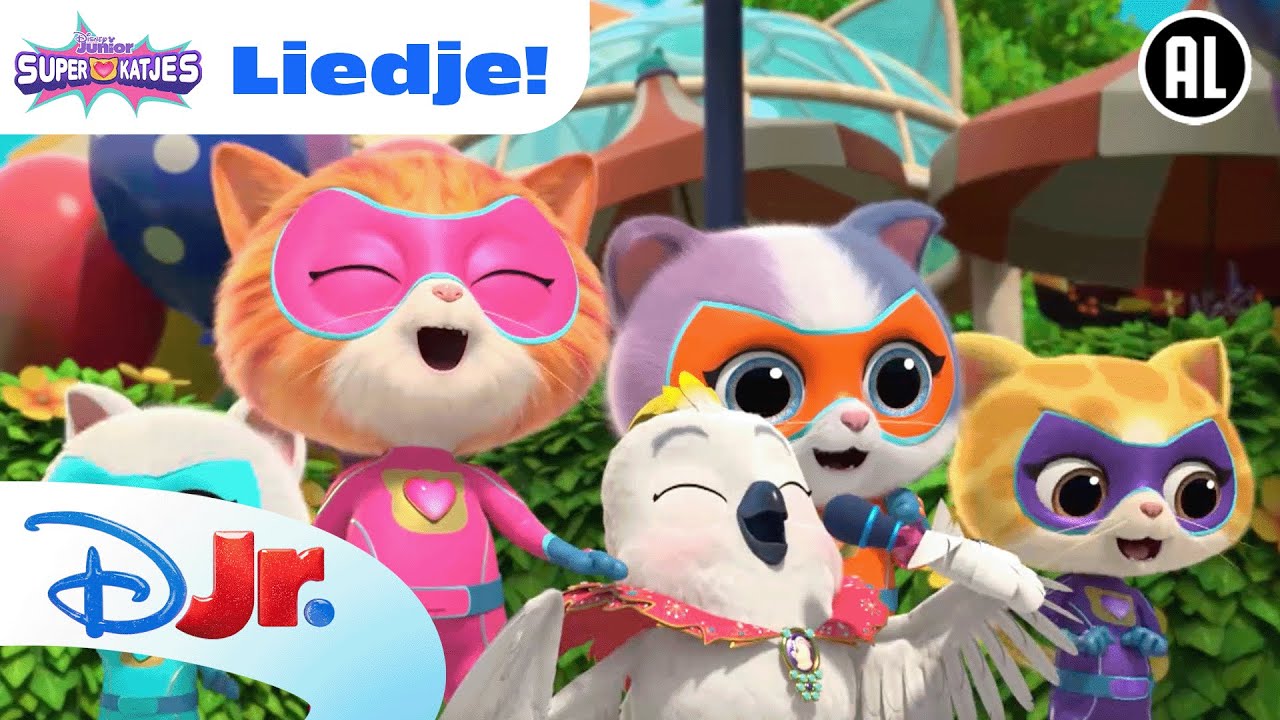 😻 Katten Dag! | Super Katjes | Disney Junior België-Nederland - YouTube