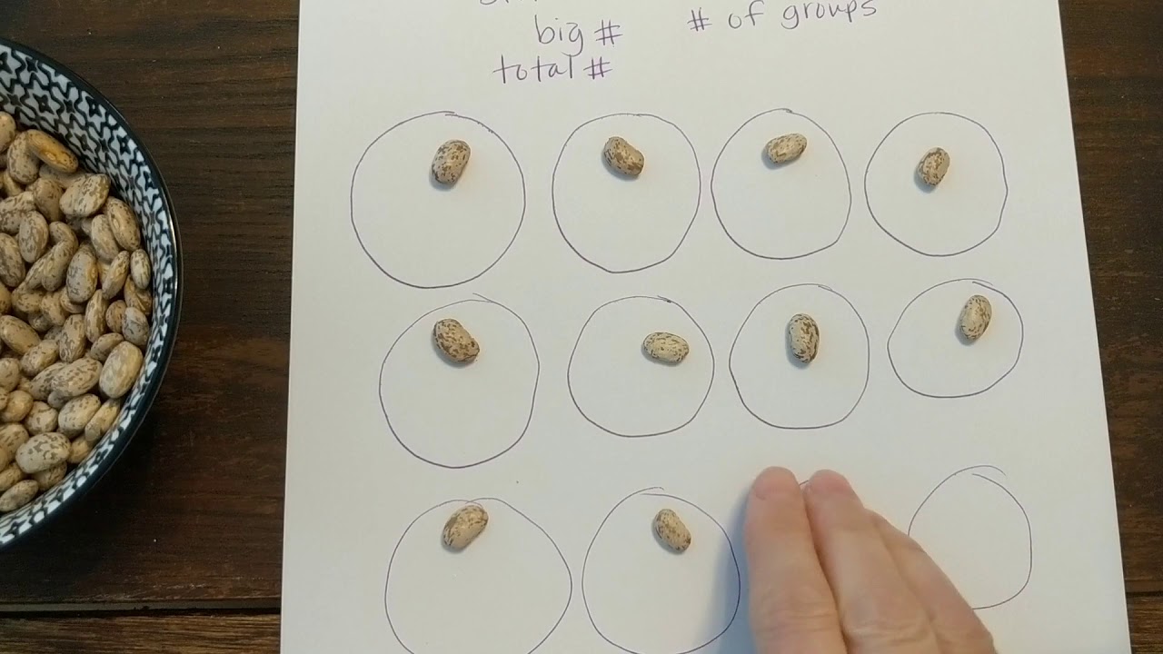 Multiplication and Division Practice with Manipulatives by 12 - YouTube