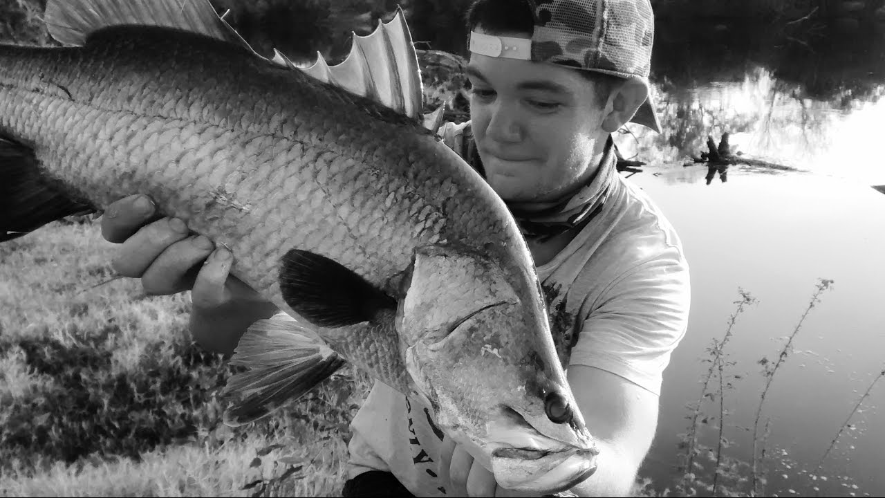Barramundi Fishing, Wet Season Townsville 2012 - YouTube