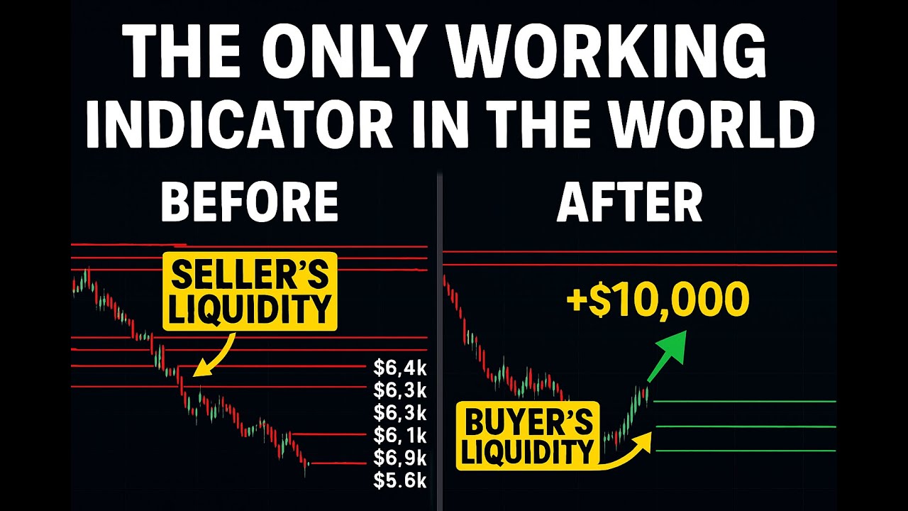 The ONLY Working Indicator in the Entire Market - YouTube