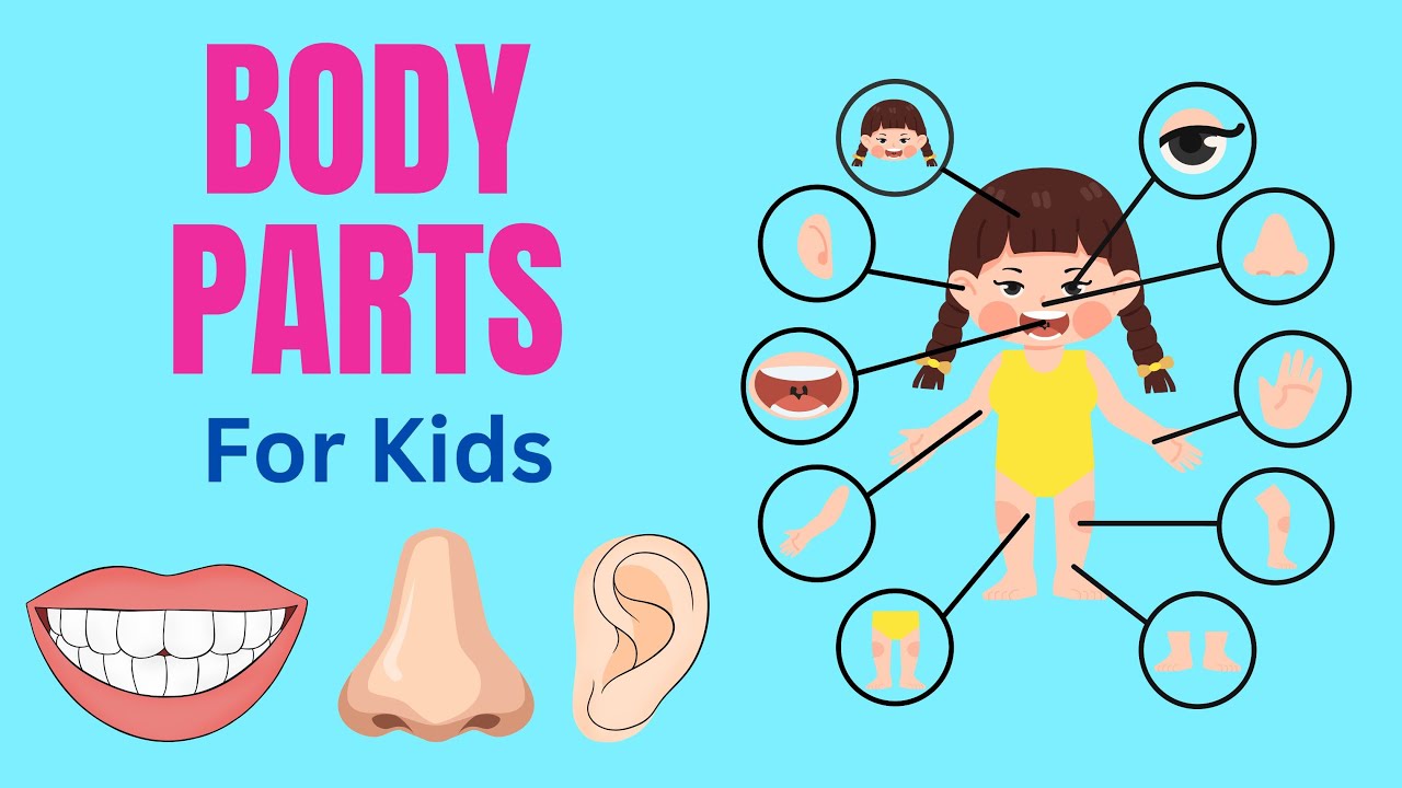 Very Easy to Learn Body Parts for KIDS BEGINNER LEVEL |All Age| Body ...