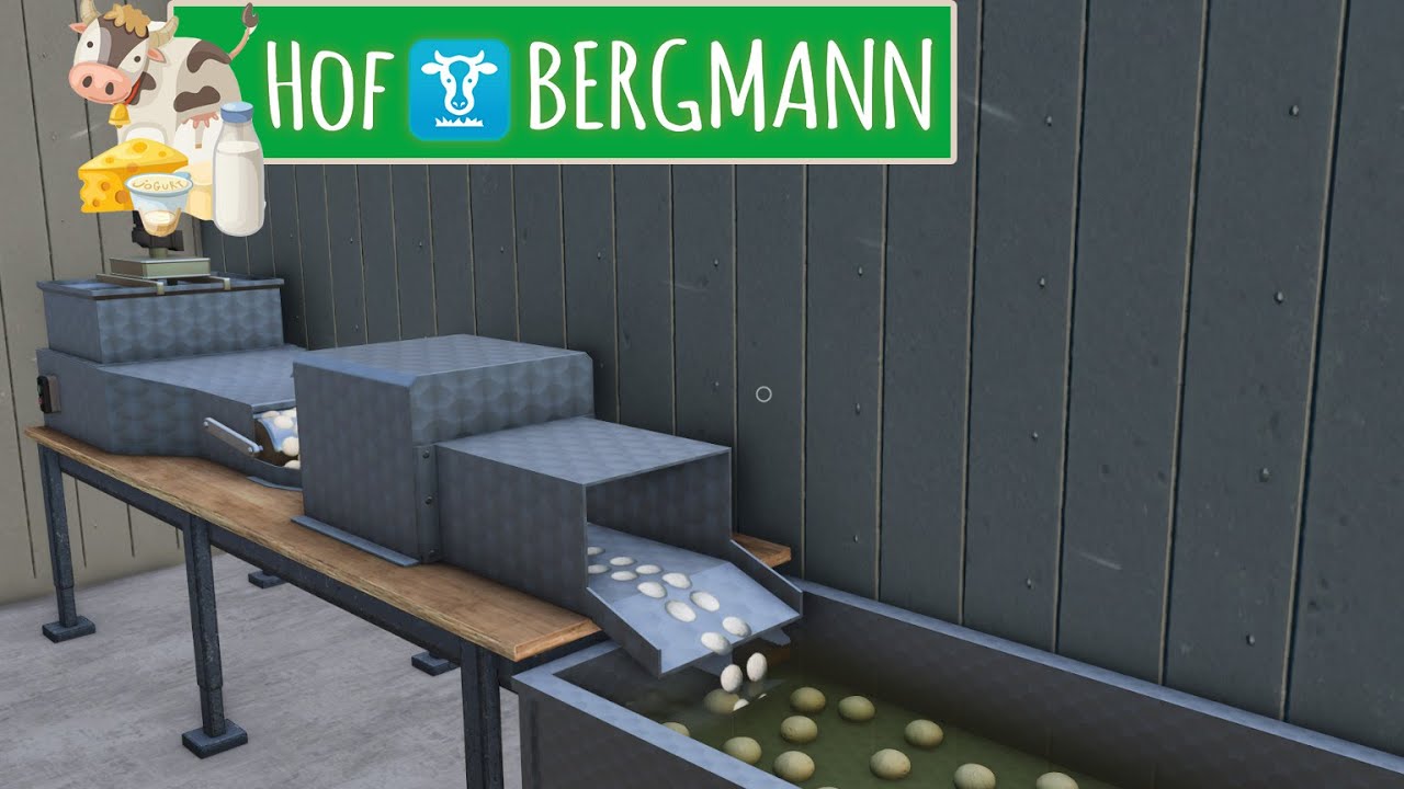LS25 HOF BERGMANN #18 : Büffelmozzarella Produktion gestartet in der ...
