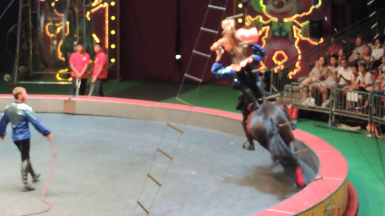 Circus Trick Riding - YouTube