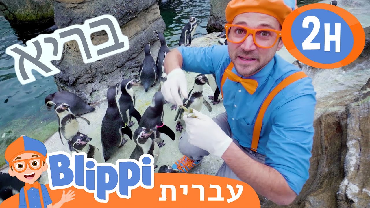 הפינגווינים בגן החיות *Penguins at the Zoo* | טלוויזיה לילדים | בדוק את ...