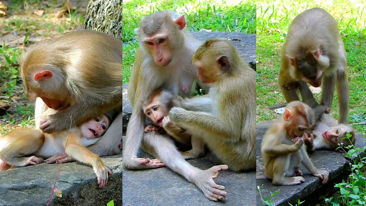 Cute Lexi baby inc,.ites mum to carry her aw,.ay from Rainbow when she ...