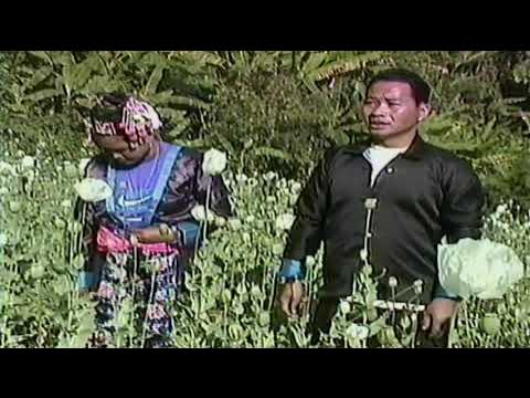 Xeem Sai & Maiv Lauj (1) - YouTube