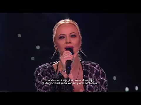 Giedrius Jurgelevičius (MG International) ir Mia - Juoda orchidėja