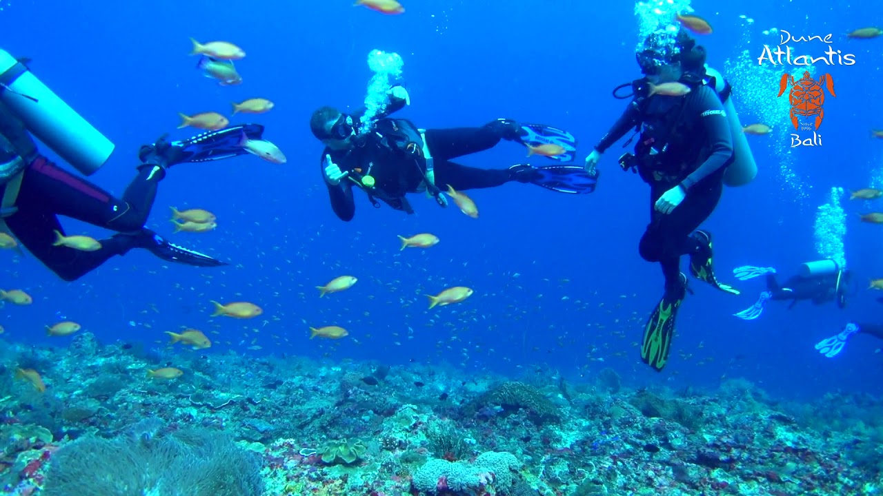 Atlantis Bali Diving in Crystal Bay, Nusa Penida 28/8/2017 - YouTube
