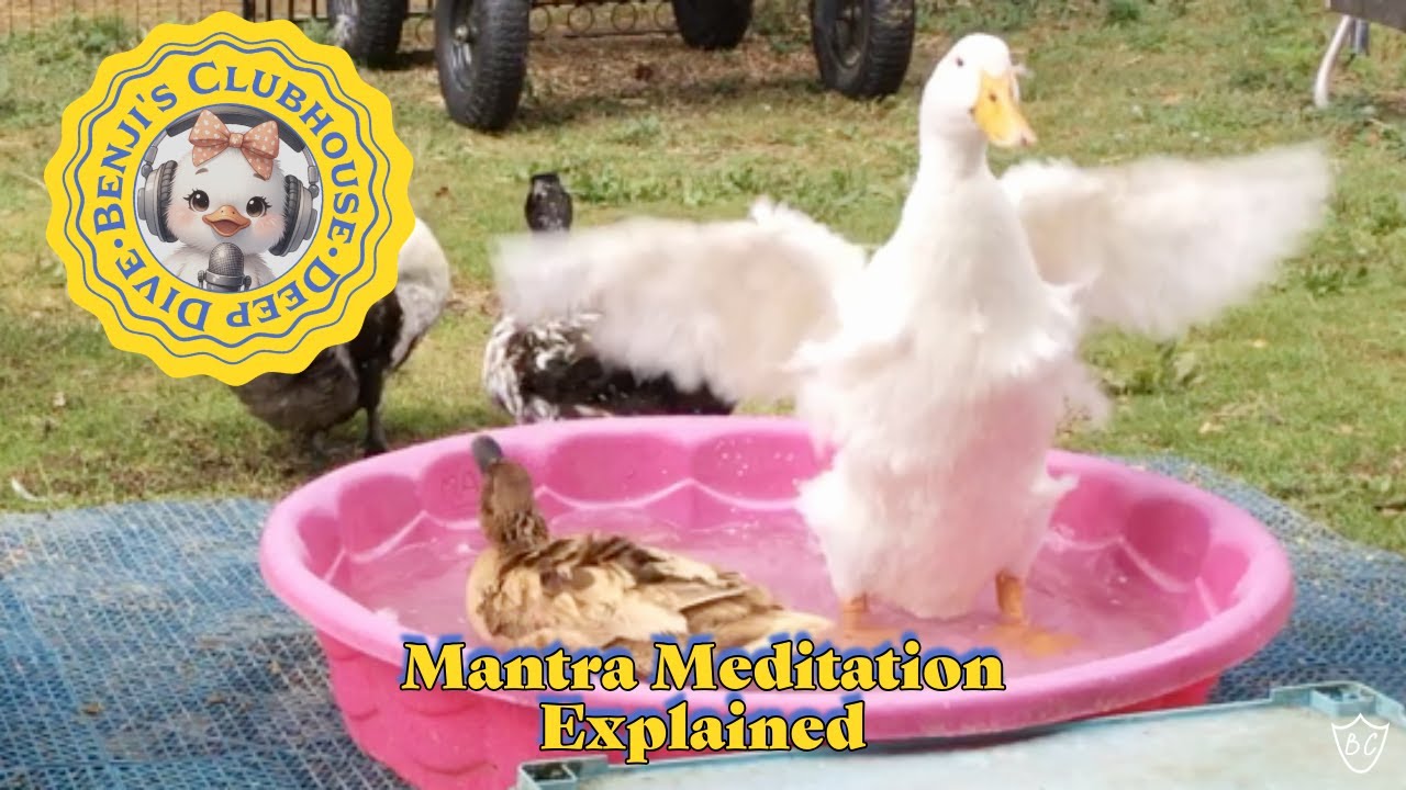 Mantra Meditation Guide with Peaceful Duck Ambience – Stress Relief ...