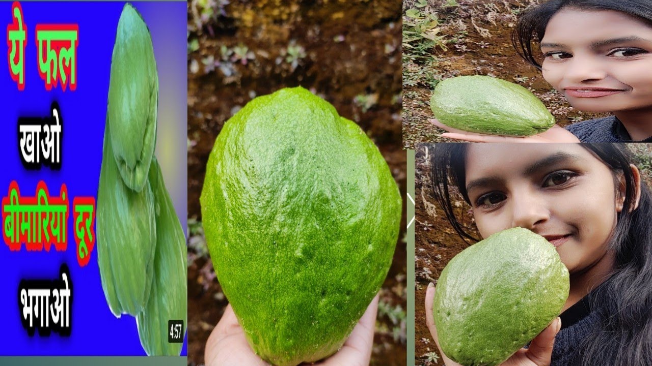 Squash are a kind of vegetable...squash genus of flowering plant in the ...