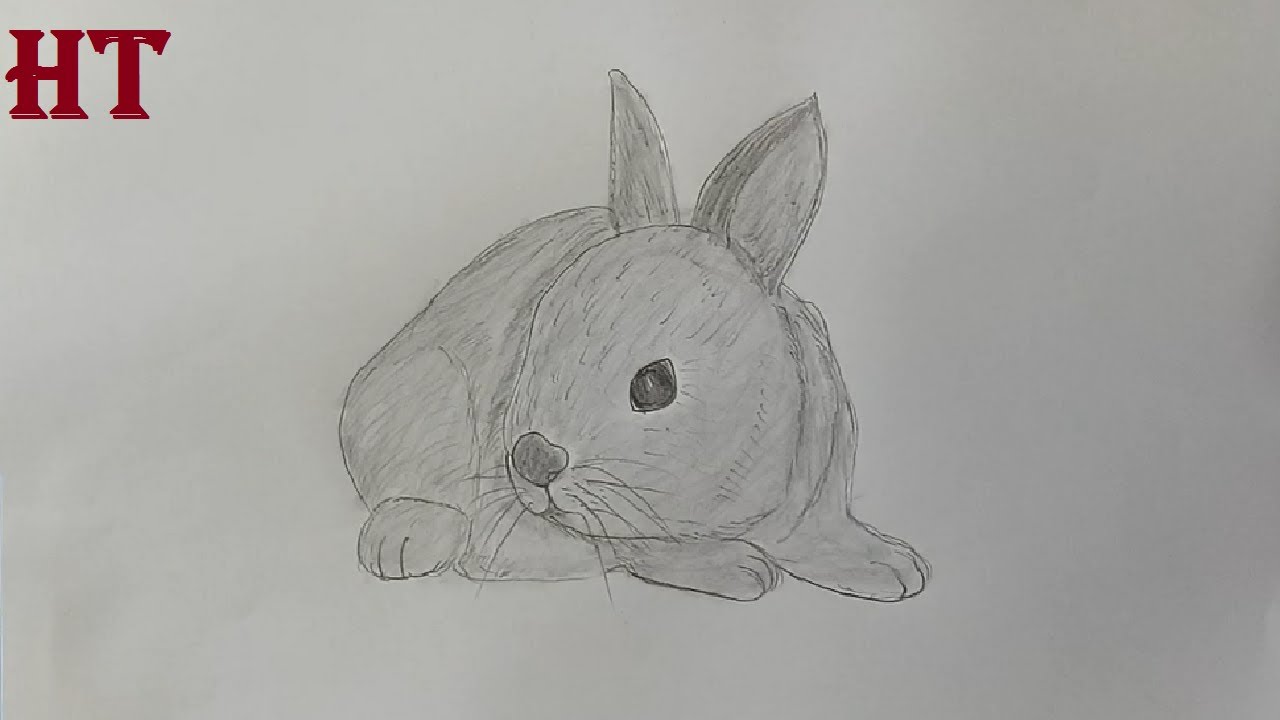How to draw a Rabbit with Pencil - YouTube