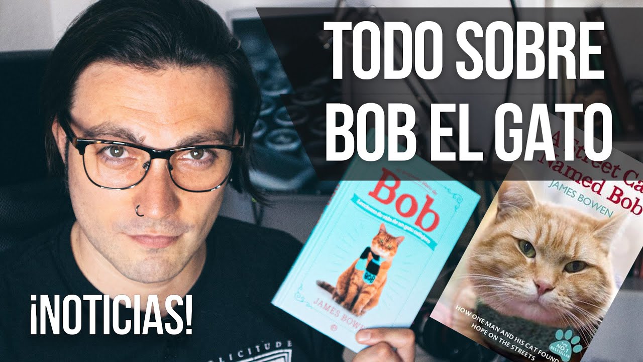 Lo mejor sobre El Gato Bob: Libros, su próxima Película y el Memorial ...