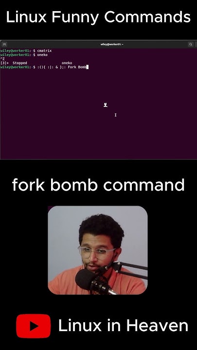 Fork Bomb Command Linux Funny Commands Shorts Bashscripting Coding Opensource Bash