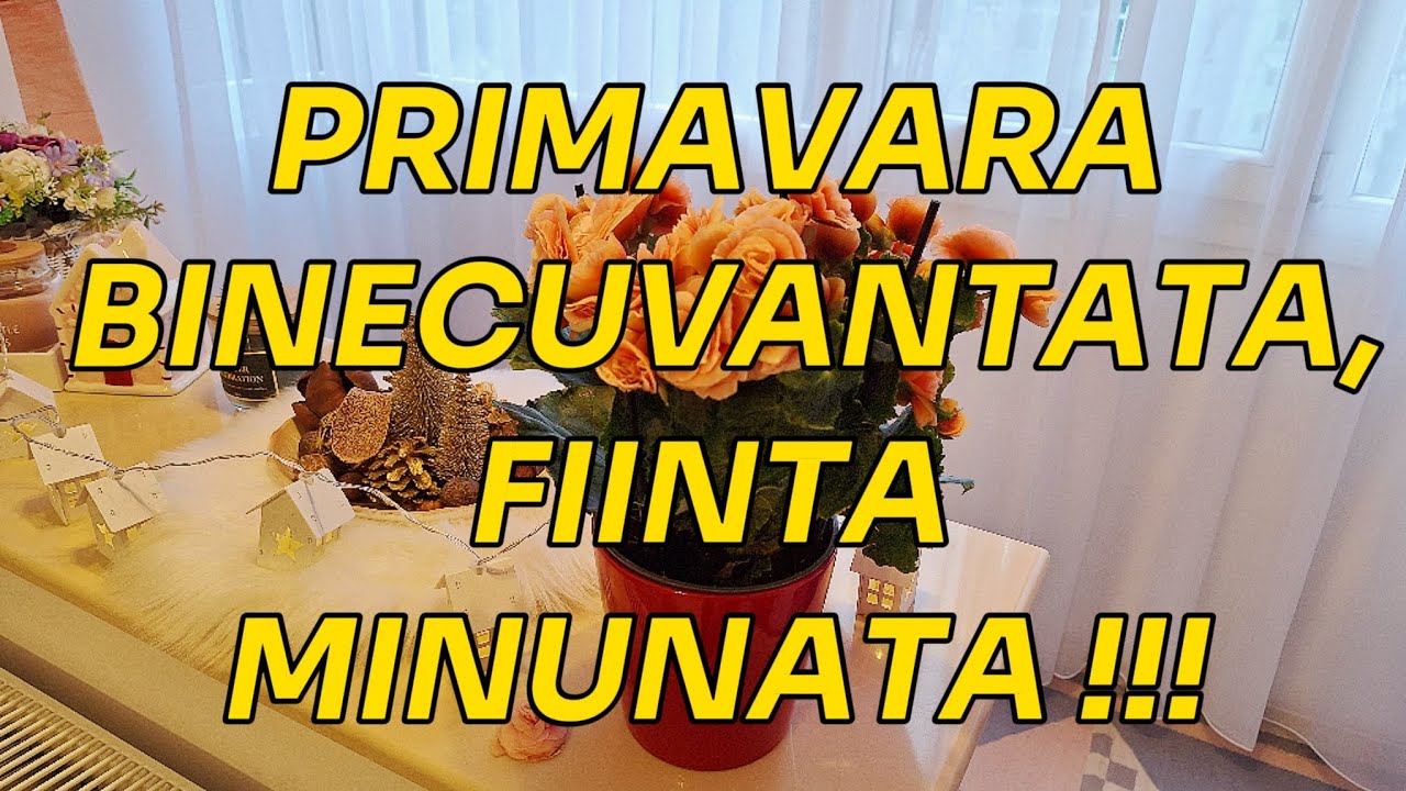 Primavara binecuvantata, fiinta minunata / La multi ani de 1 MARTIE ...