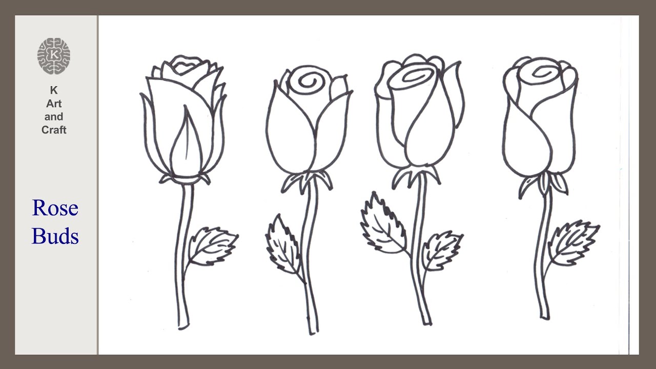 Rose Bud Drawing Black And White