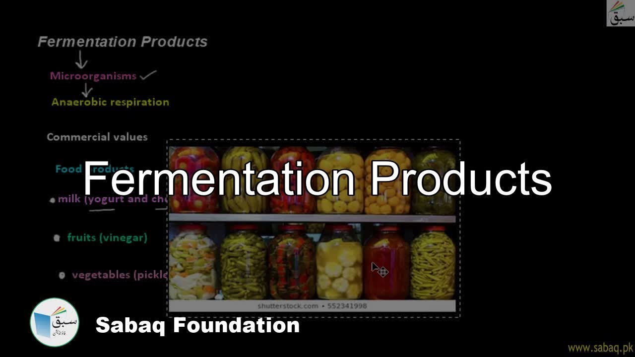 Fermentation Product, Biology Lecture | Sabaq.pk - YouTube