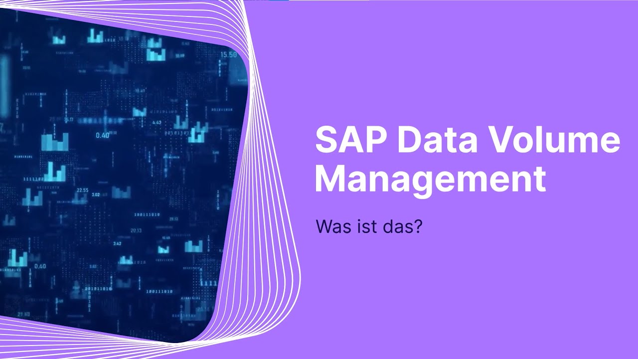 SAP Data Volume Management (DVM) kurz zusammengefasst - YouTube