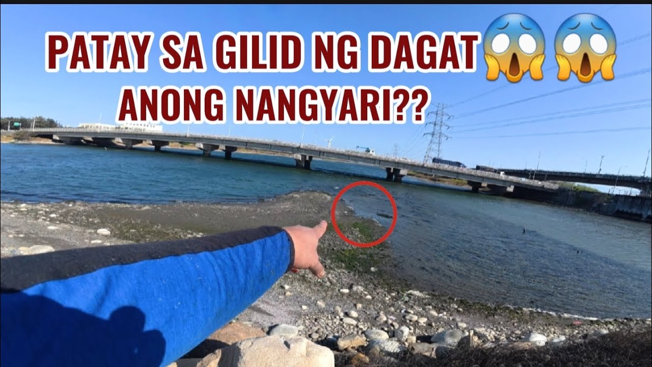Patay sa gilid ng dagat Ano kayang nangyari?? 😱😱 || KELOGS TV - YouTube