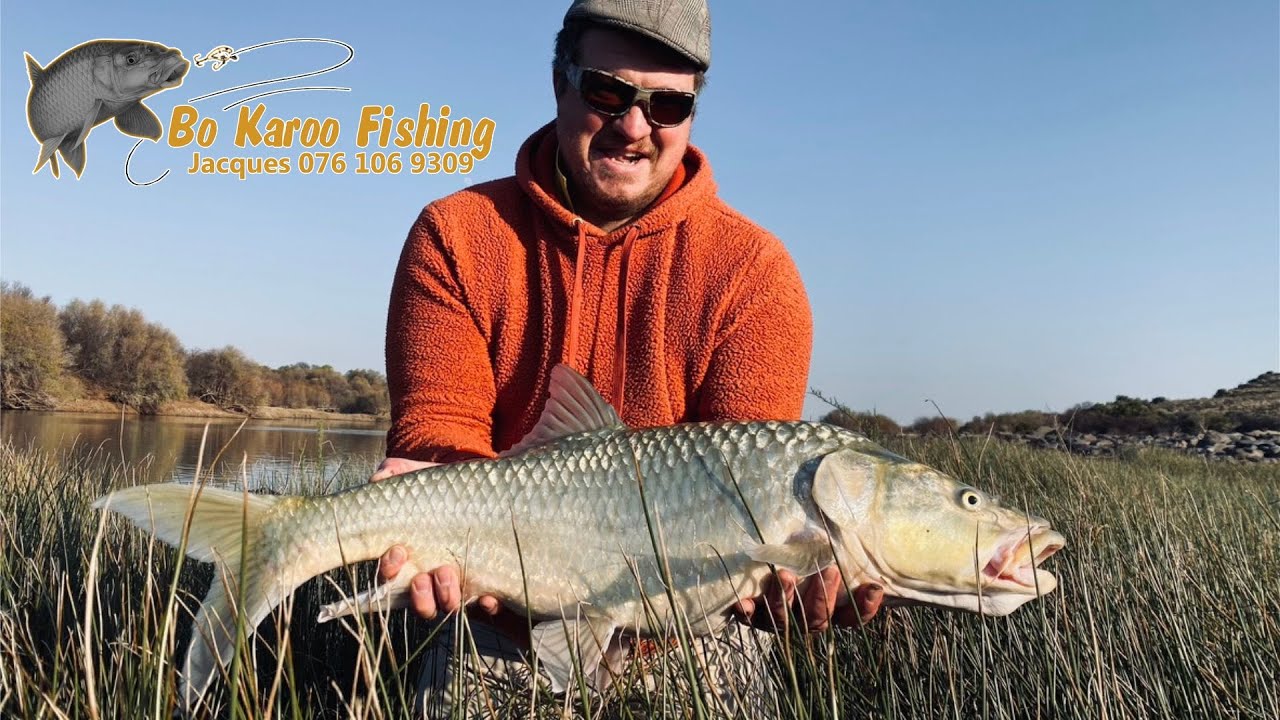 Monster Largemouth Yellowfish on the Orange River - YouTube