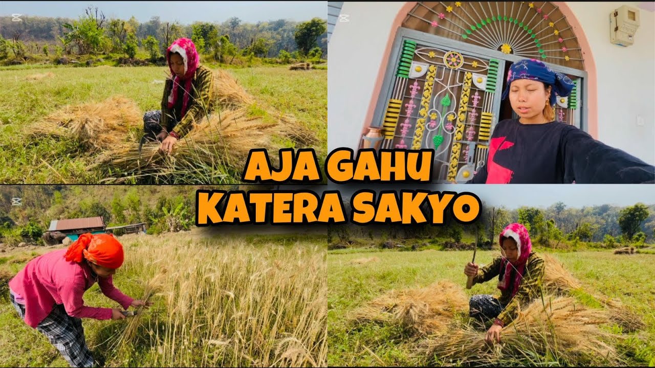 Ghahu katarw pani sakiyo sathy haru#keeplovingme #suscribe - YouTube