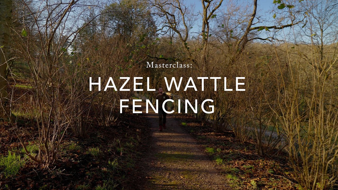 Masterclass: Coppicing hazel and constructing a wattle fence with ...