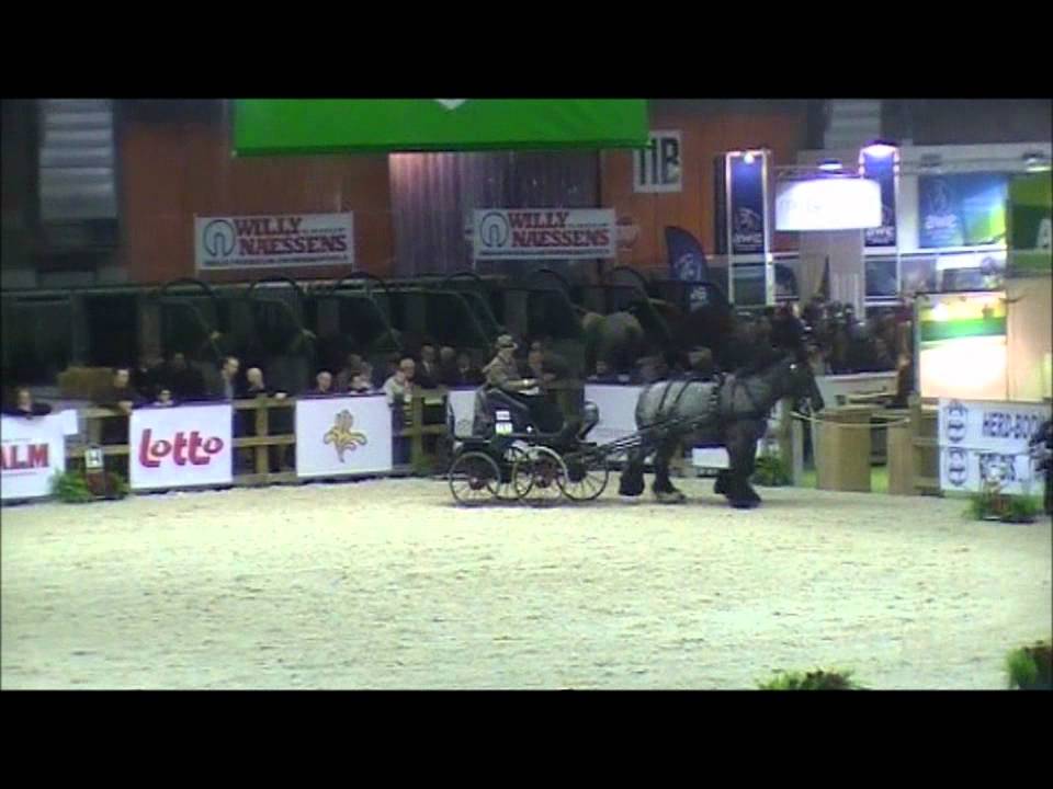 DKT - Alain Aerts - Agribex - 8/12/2011 - Dressuur - YouTube