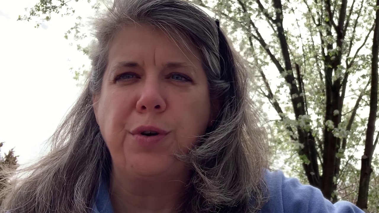 APDT Board member, Heidi Meinzer, shares some supportive words as we ...