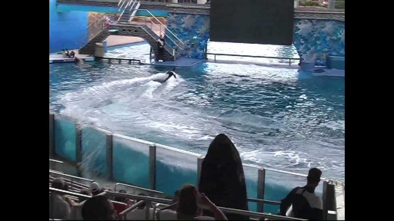 2007 - SEA WORLD in ORLANDO - ORCA-SHOW - FLORIDA (3) - YouTube