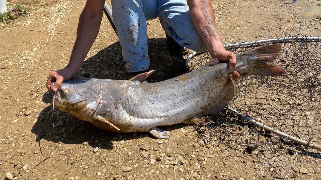 Rigging my Paylake setups! How to - YouTube