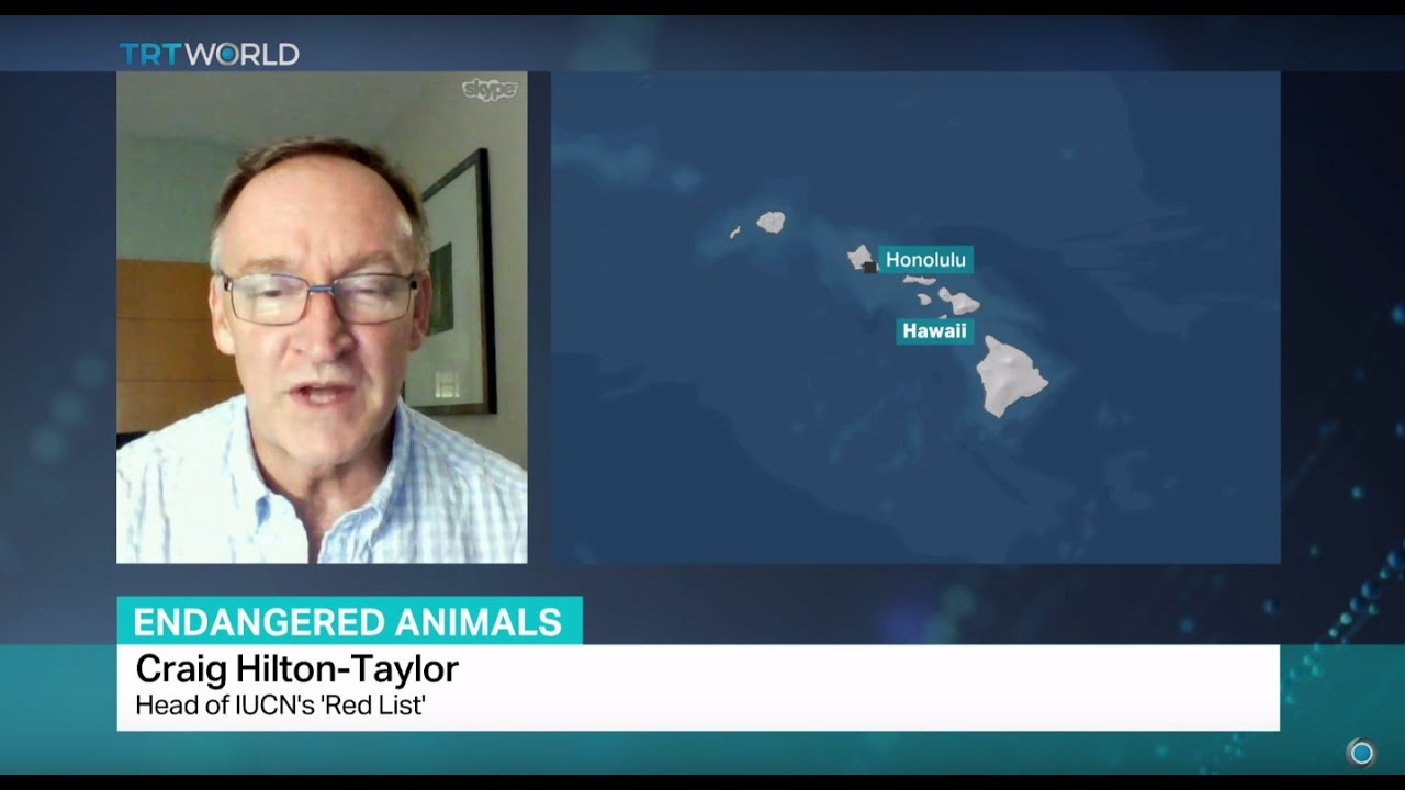 Endangered Animals: Interview with Craig Hilton-Taylor from IUCN - YouTube