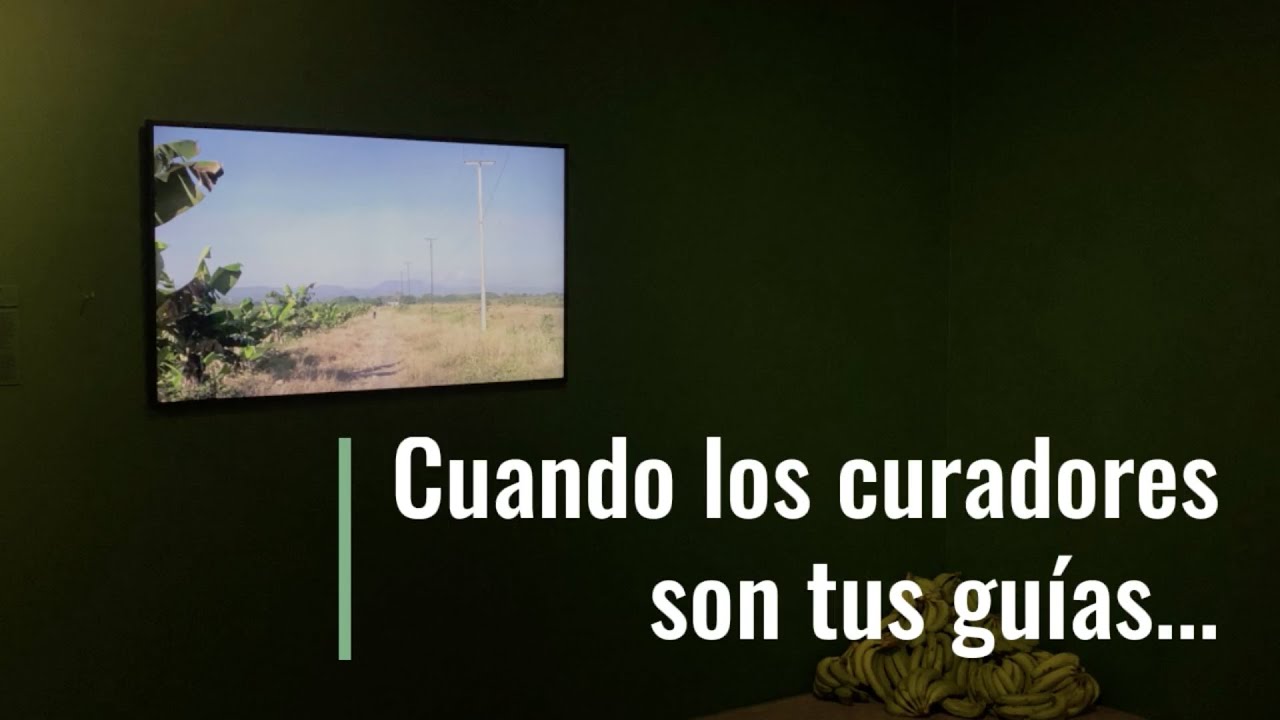 Cuando los curadores son tus guías - YouTube