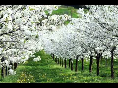 Dinleyenleri uzaklara götüren harika ney dinletisi!