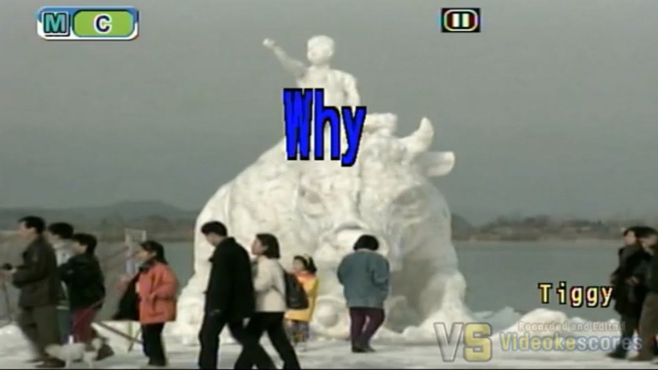 Tiggy - Why (Karaoke/Lyrics/Instrumental) - YouTube