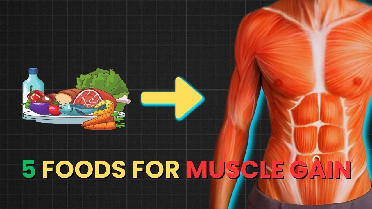 Top 5 Foods for Muscle Gain: Ultimate Guide to Building Strength - YouTube