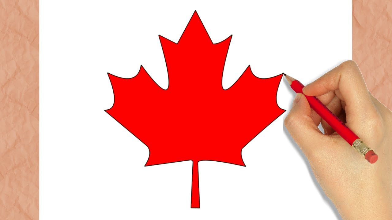 How To Draw The Canada Leaf YouTube How To Draw The Canada Leaf YouTube
