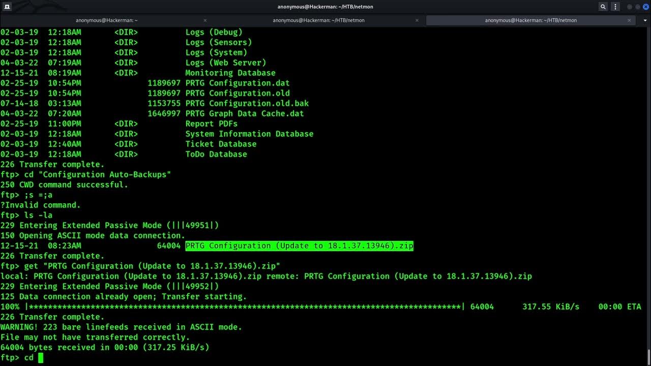 HackTheBox #068 Netmon - YouTube