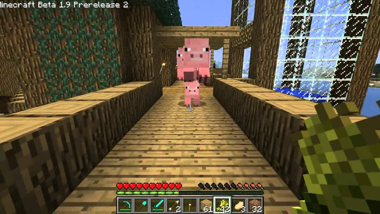 Minecraft - Let's Play 40 - Goldfish Training - YouTube