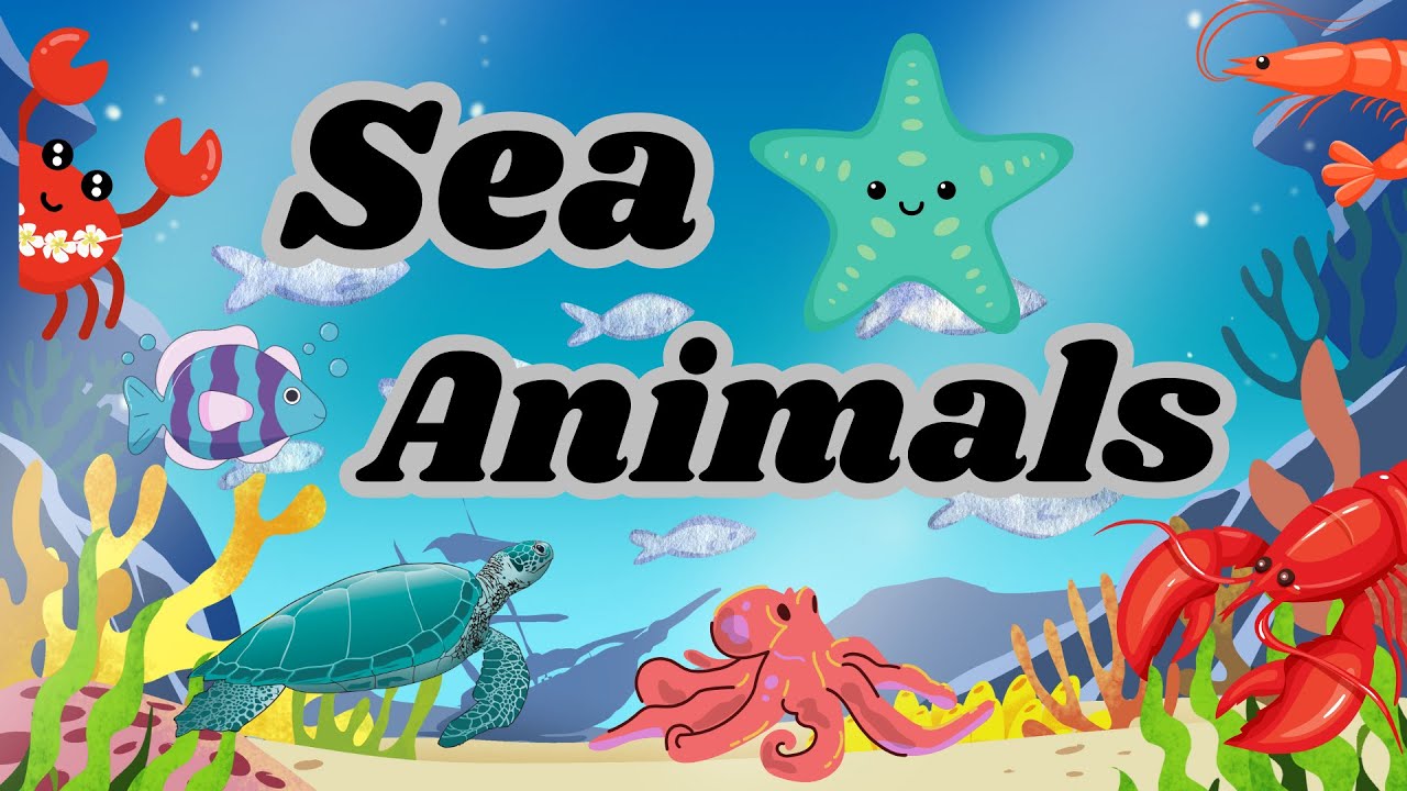 Sea Animals Song| Baby Songs| Nursery Rhymes & Kids Song| Under The Sea ...