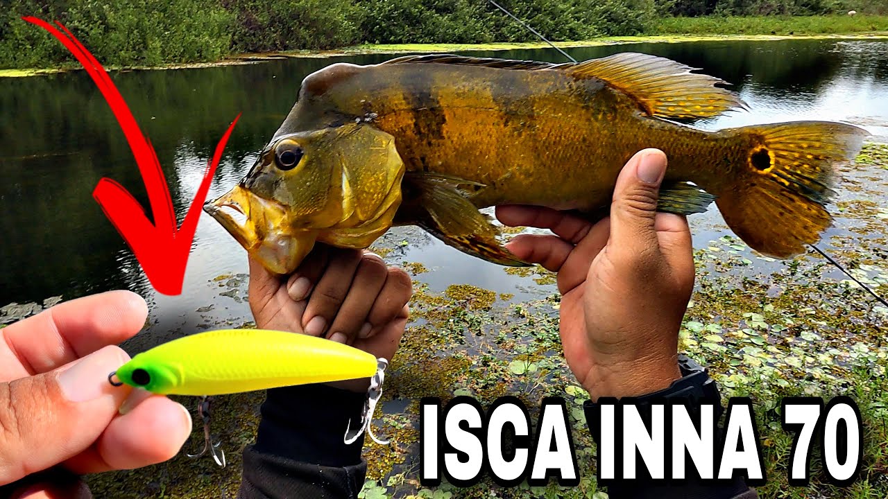 Quando a isca de superfície falha, experimente a Isca Inna 70! - YouTube