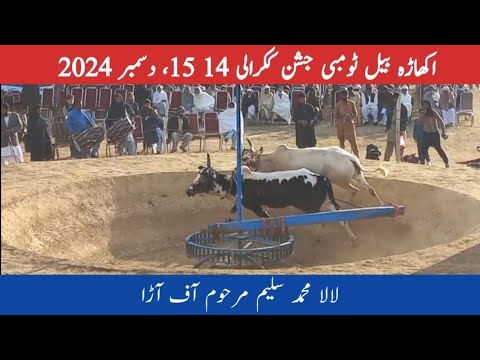 Lala Muhammad Saleem Mahroom Of Aara | Akhara Bail Tombi Kikrali Gujrat ...