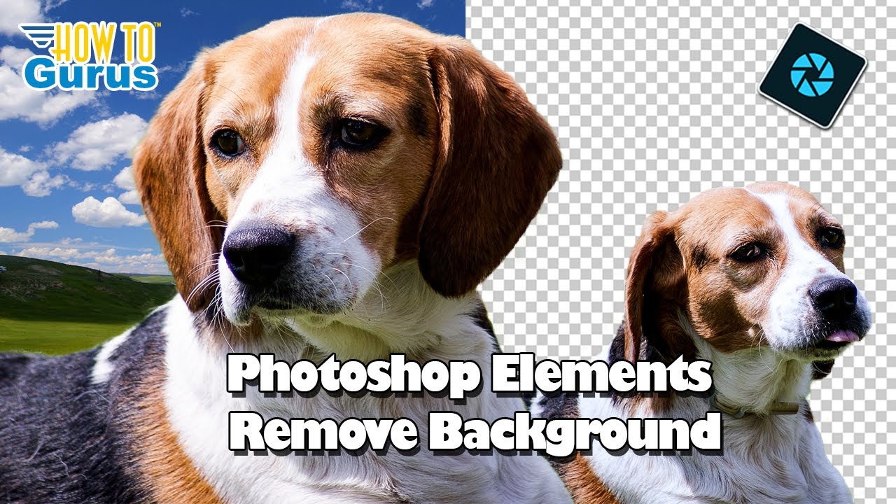 Photoshop Elements Remove Background Project For Beginners COMPLETE photoshop-elements-remove-background-project-for-beginners-complete