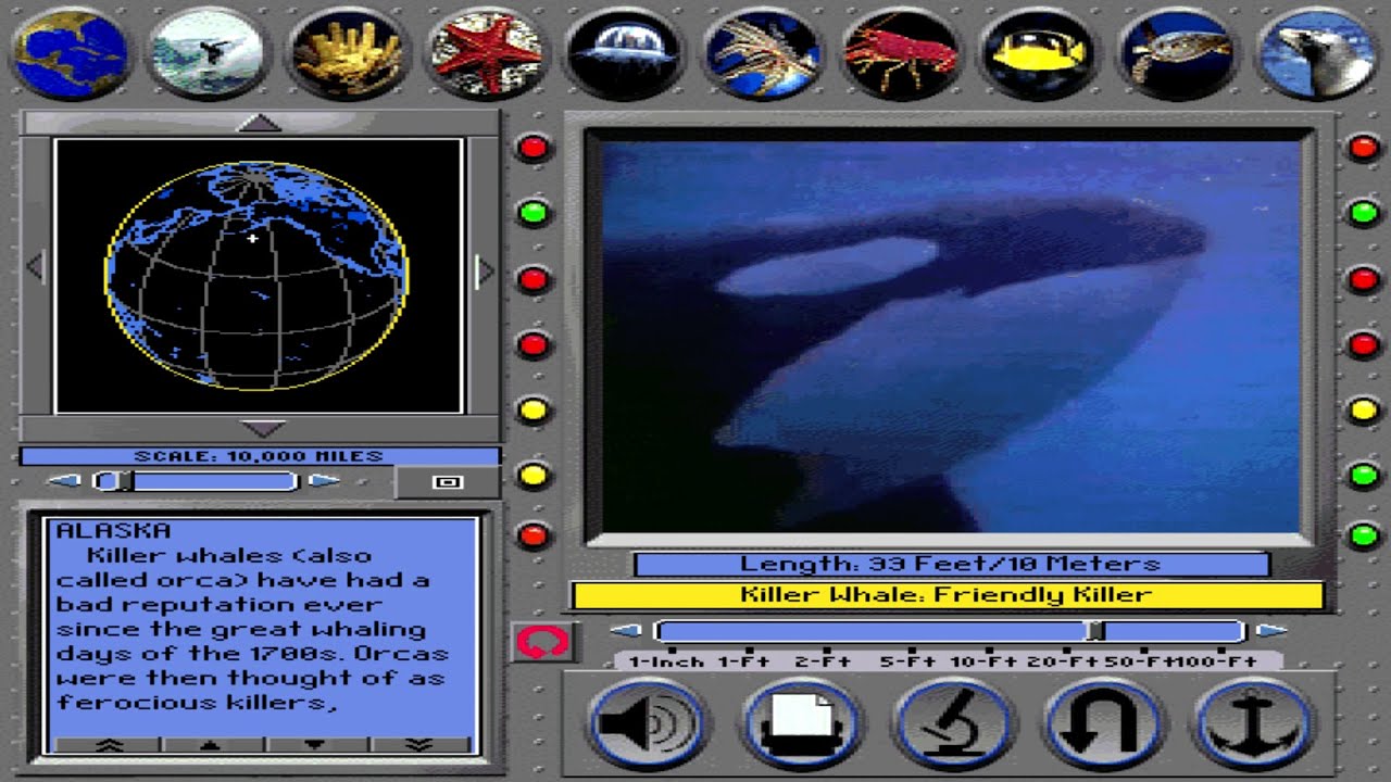 Killer Whale: Friendly Killer (HD) from from Undersea Adventure MS-DOS ...