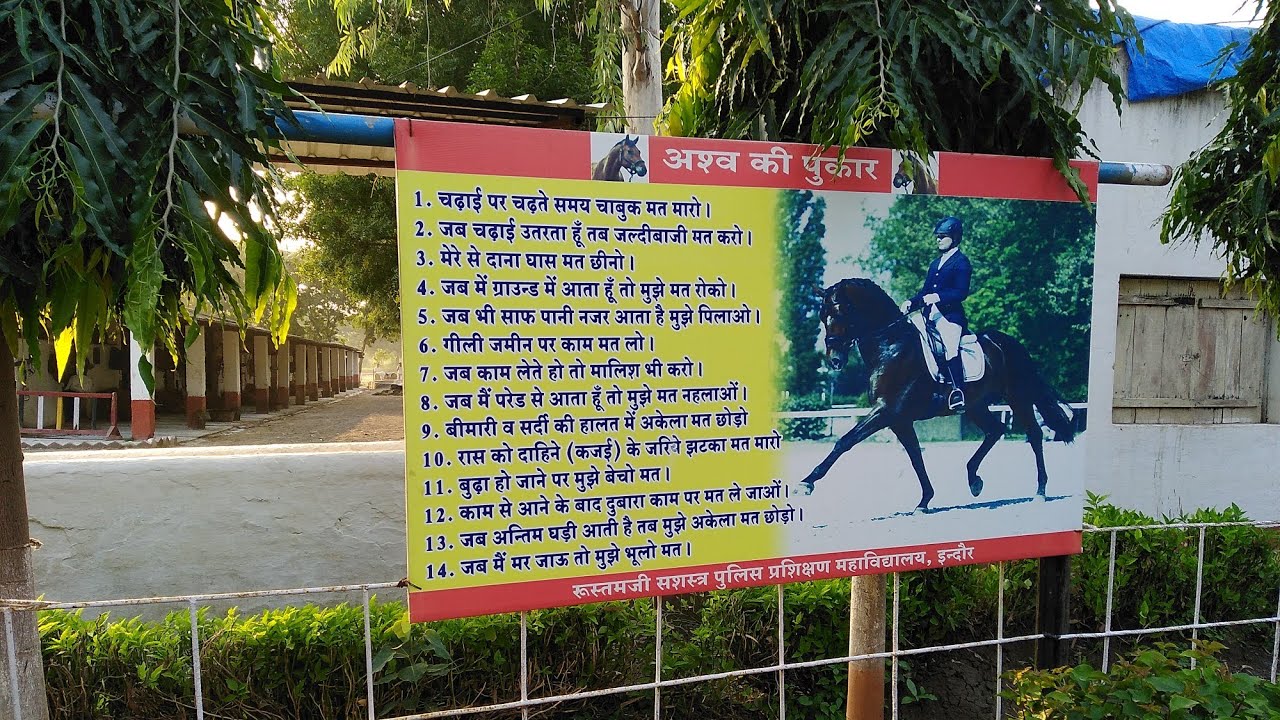 MP's Only Horse Police Training Center Raptc Indore - YouTube