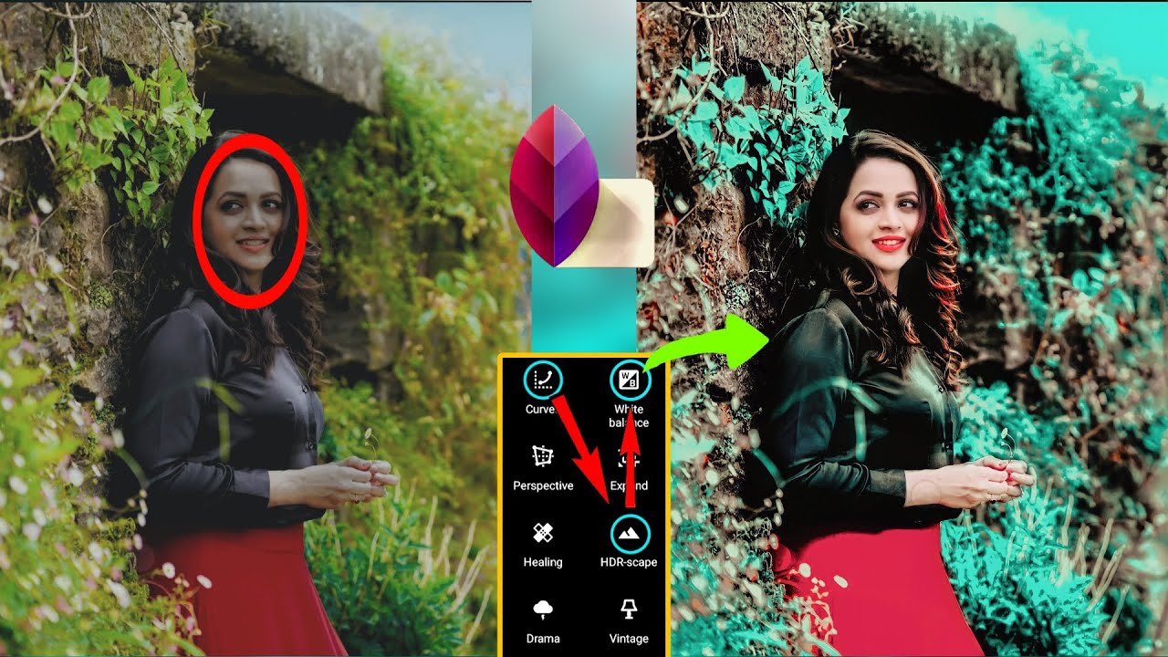 new tune_ snapseed creative photo editing just two step | snapseed ...