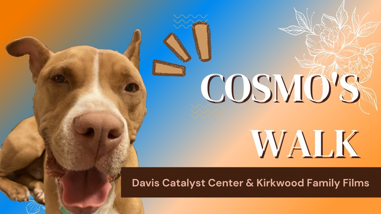 COSMO'S WALK - Davis Catalyst Center and Kirkwood Family Films - YouTube