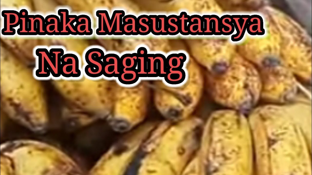 Ang Pinaka Masustansya Na Saging!! Latundan || Saba || Lakatan ...