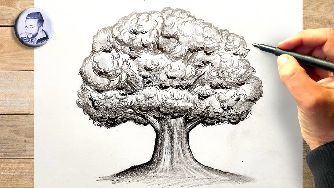 Comment Dessiner Un Arbre Avec Des Feuilles